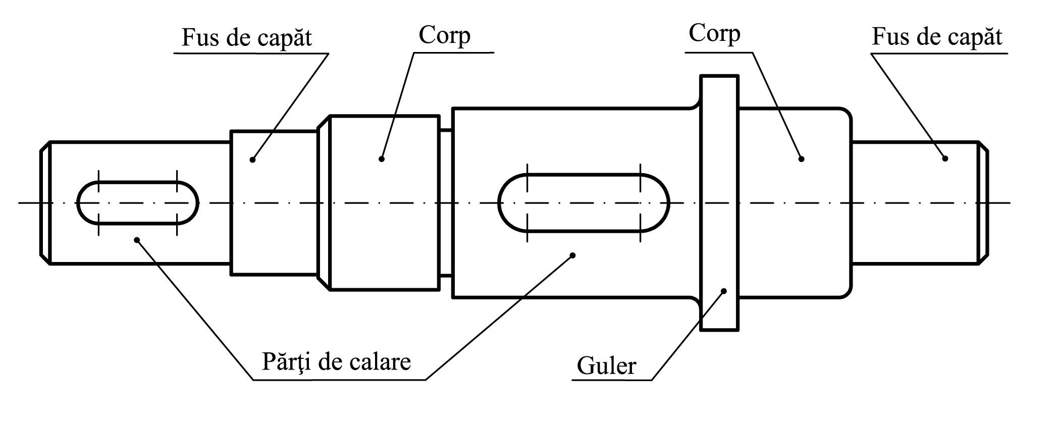 Capete cilindrice de arbore